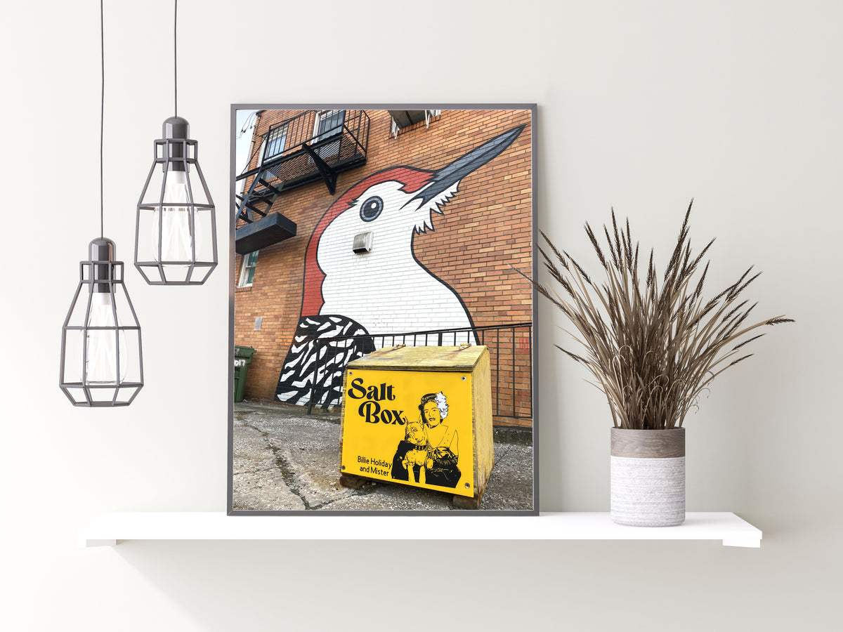 Baltimore Salt Box - Photograph Prints - Billie Holiday – The Broken ...
